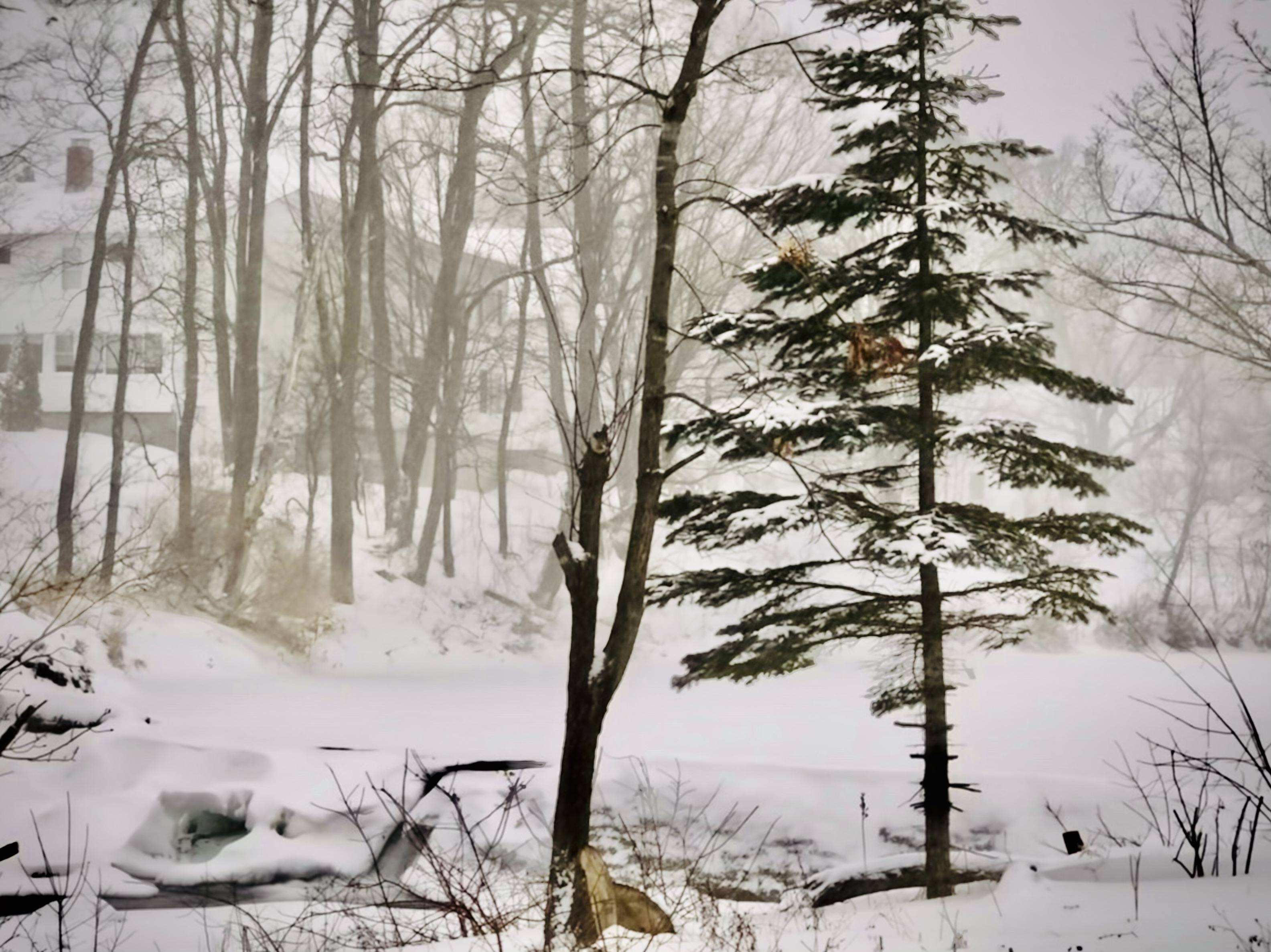 Commissioner Amanda Beal presented Maine Forest Ranger Nelson with ...