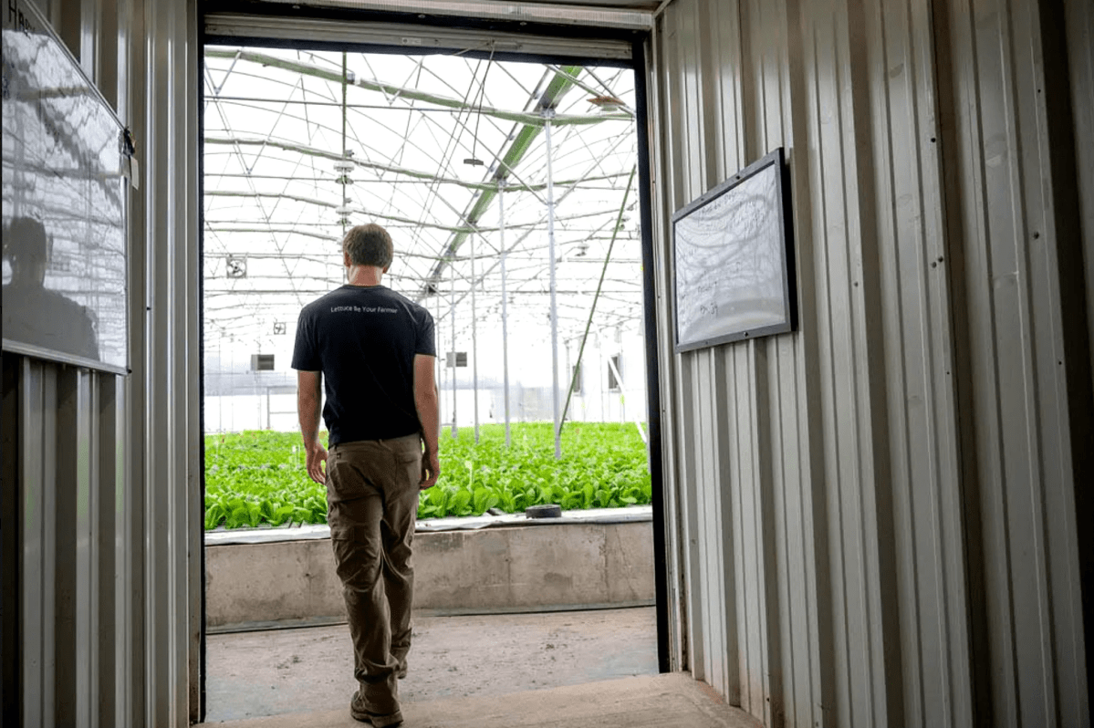 Aquaponic ME farm greenhouse, Springworks, expands due to demand for ...