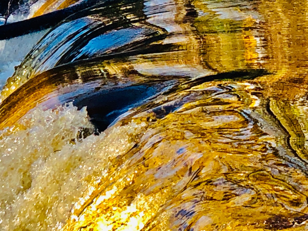 Maine’s Arctic Charr provide insight into climate resilience – Maine ...